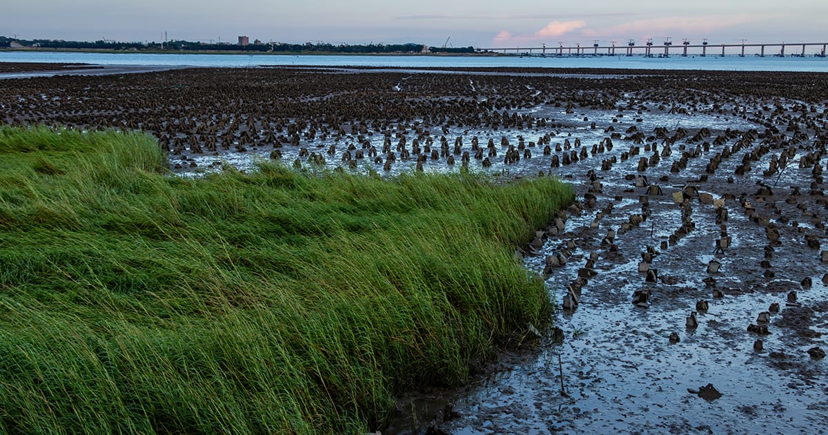 Expanding Coastal HAB Research - environment coastal & offshore