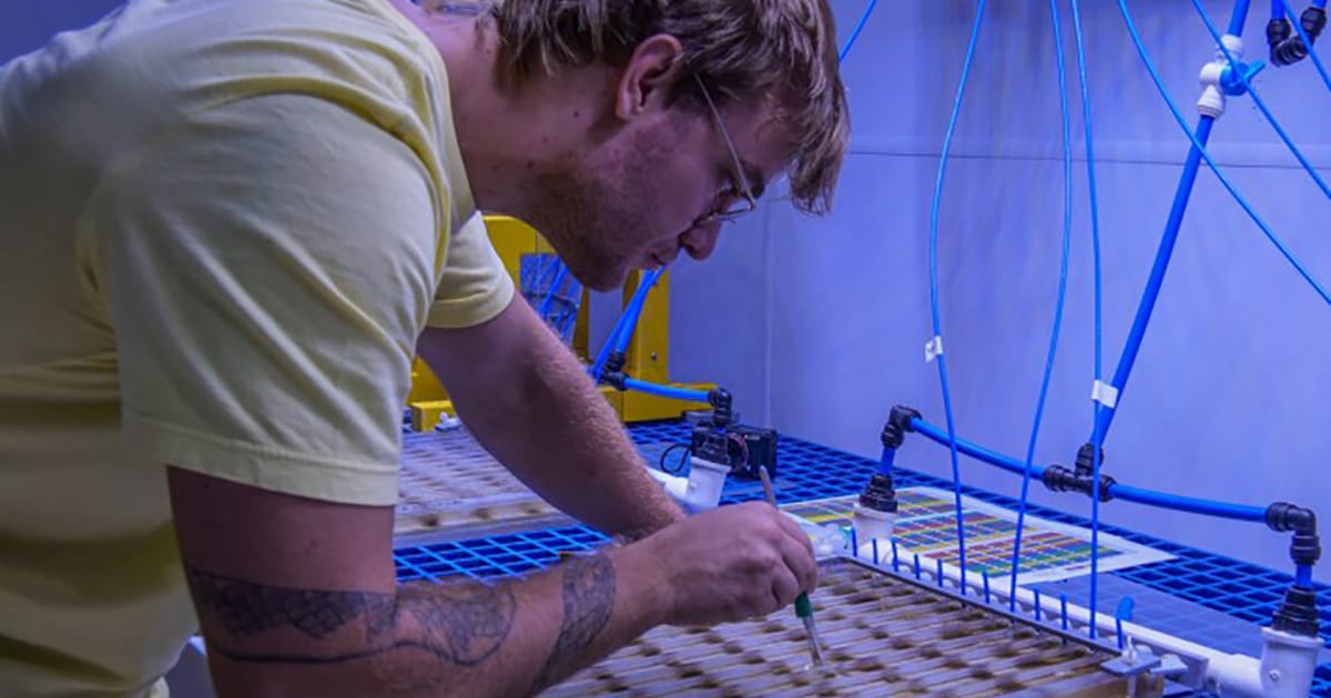 Corals Can Act as a Source of Heat-Evolved Symbionts for Neighboring ...