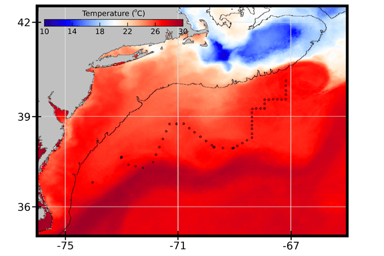 Genomics Help Uncover Mysteries of Atlantic Bluefin Tuna - environment ...