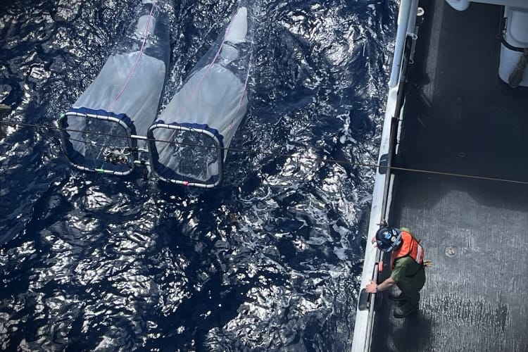 Genomics Help Uncover Mysteries of Atlantic Bluefin Tuna - environment ...