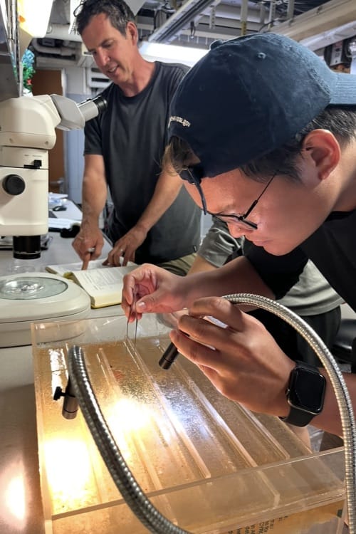 Genomics Help Uncover Mysteries of Atlantic Bluefin Tuna - environment ...