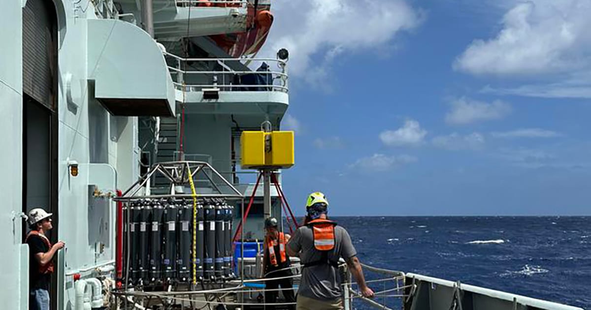 Ocean Warming Puts Vital Marine Microbe at Risk - environment coastal ...