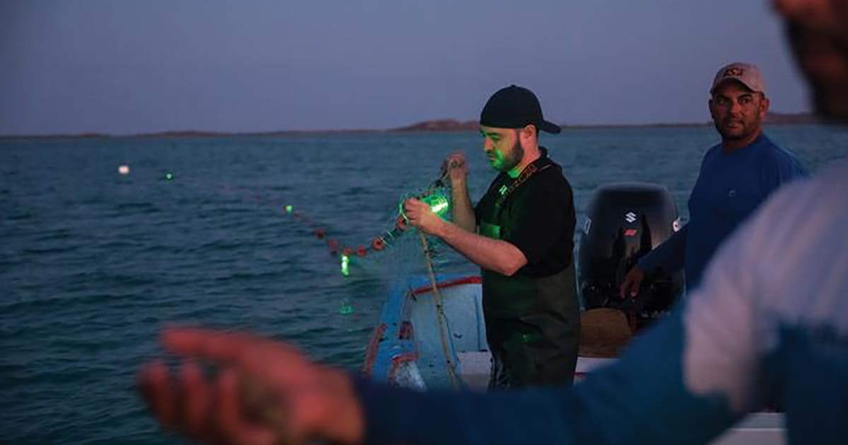 Solar-Powered Lights Keep Sea Turtles Out of Fishing Nets - environment ...