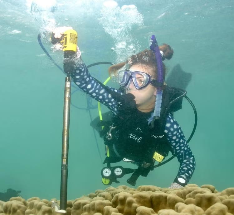 Corals Might Be Adapting to Climate Change - environment coastal & offshore
