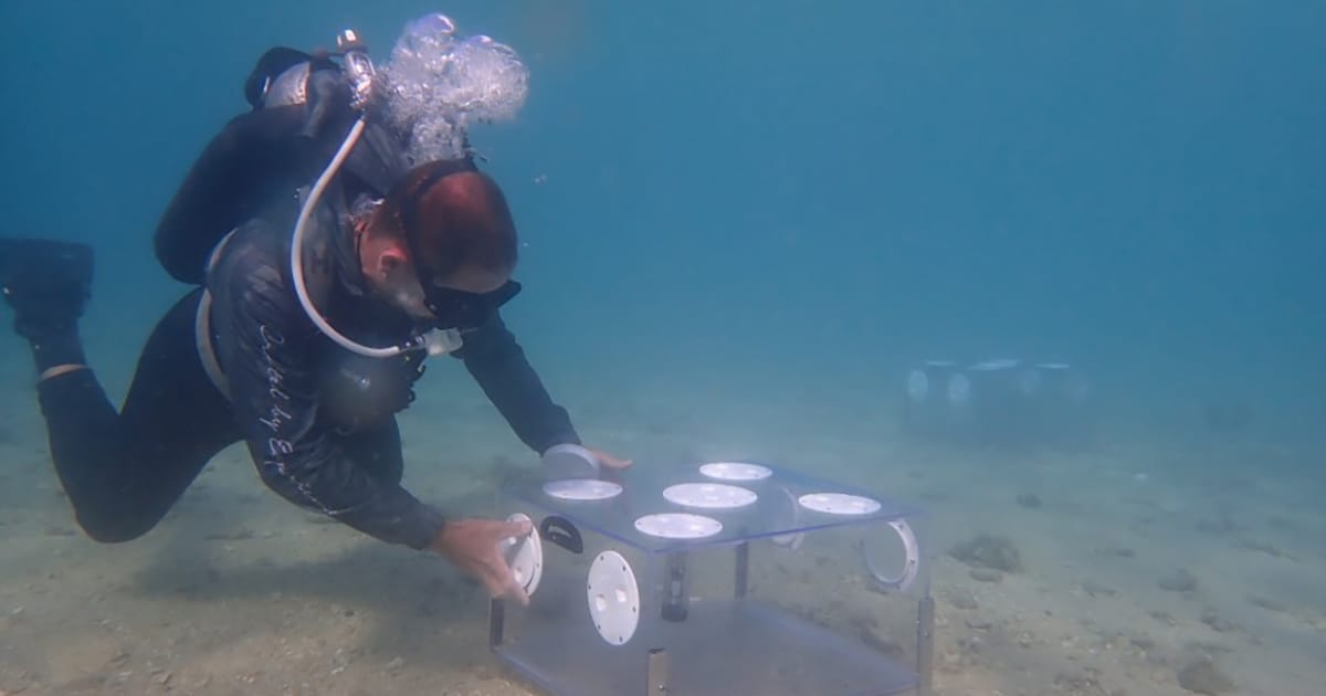 New Larval Seedbox Technology to Drive Coral Restoration on the Great ...
