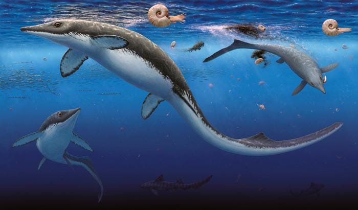 Oldest Oceanic Reptile Ecosystem from the Age of Dinosaurs Found on ...