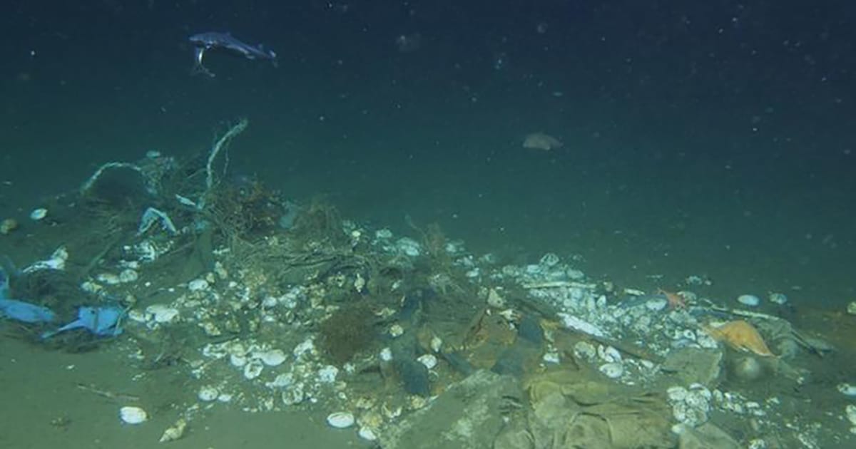 A Roadmap for Combating Marine Litter Across the Globe - environment ...