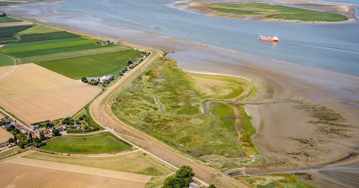Decades of Dredging Are Pushing the Dutch Western Scheldt Estuary ...