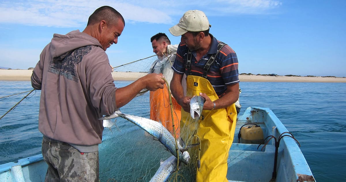 Fishery Sustainability Could Serve as a Foundation to Improve Fisheries ...