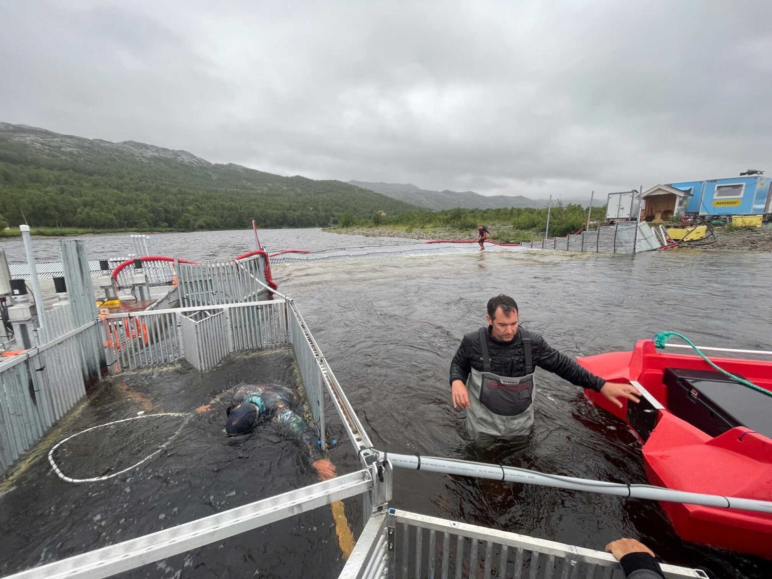 AI-Powered Salmon Sorting System Proves Successful in Norway ...