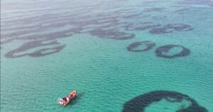 Rare Seagrass Fairy Circles Observed in Scotland - environment coastal ...