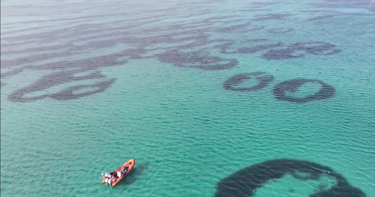 Rare Seagrass Fairy Circles Observed in Scotland - environment coastal ...