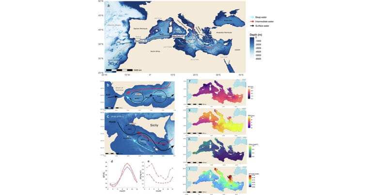 Microscopic Plankton Reveal Tropicalization of the Mediterranean Sea ...