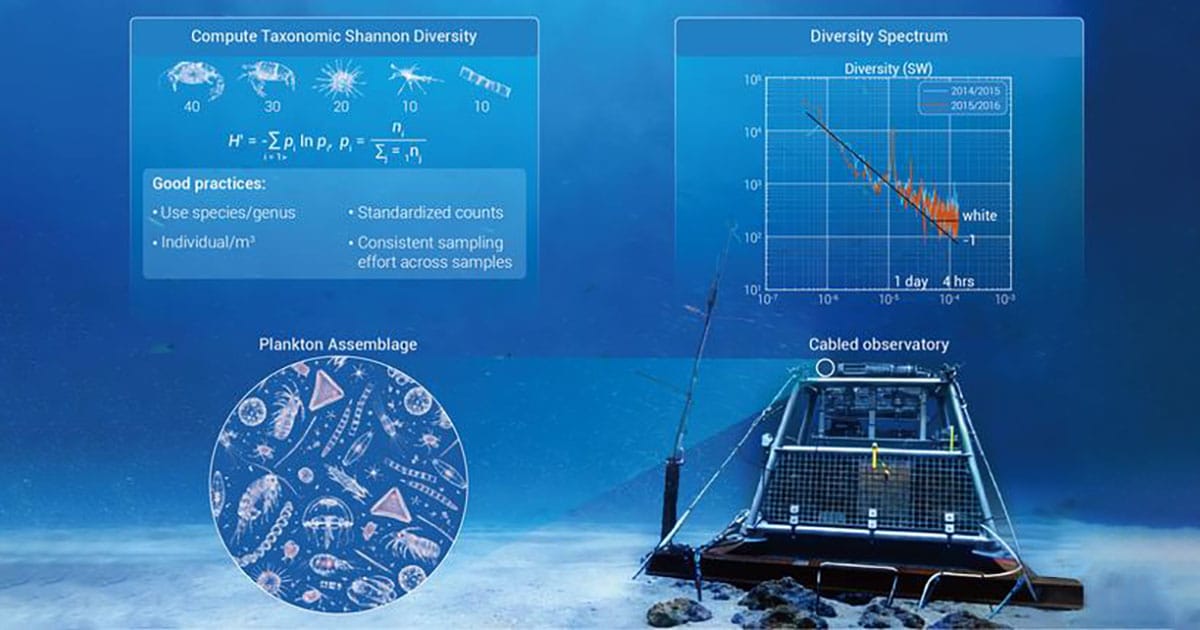 Longer-Term Plankton Species Diversity Is Independent of Ocean Mixing ...