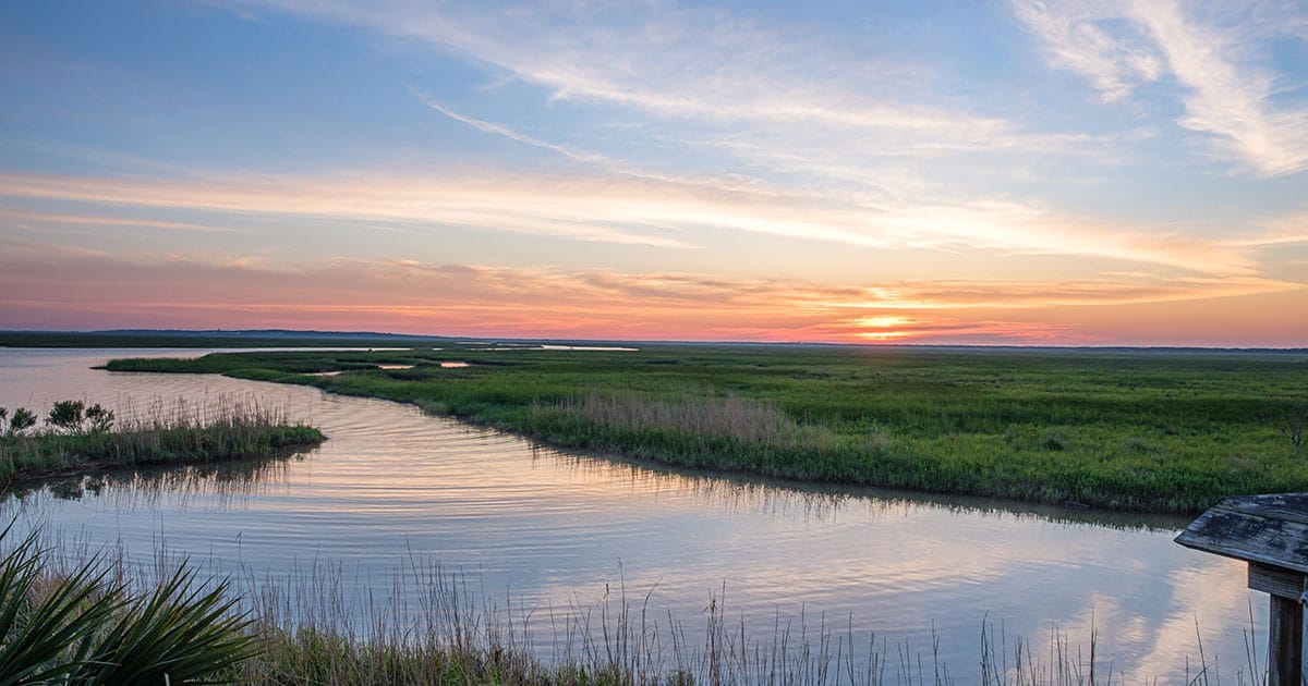 New Research Points to Louisiana as an Early Model for Managing Sea ...